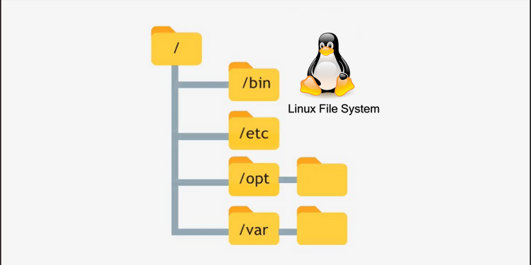 10 Basic File and Directory Management Commands in Linux
